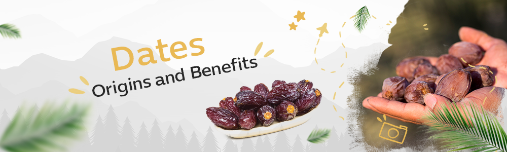 Dates, Origins and Benefits - Sinokrot Holding